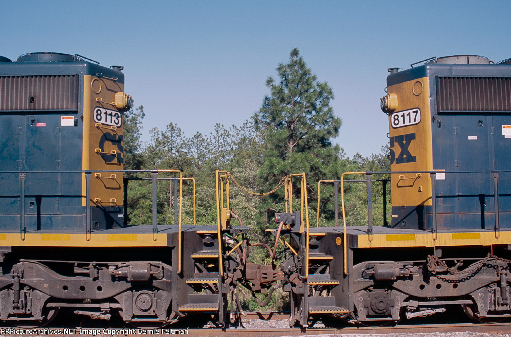 CSXT SD40-2's 8113 & 8117